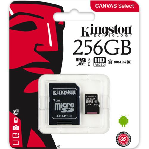 256GB MicroSD with SD Adapter | Techmania